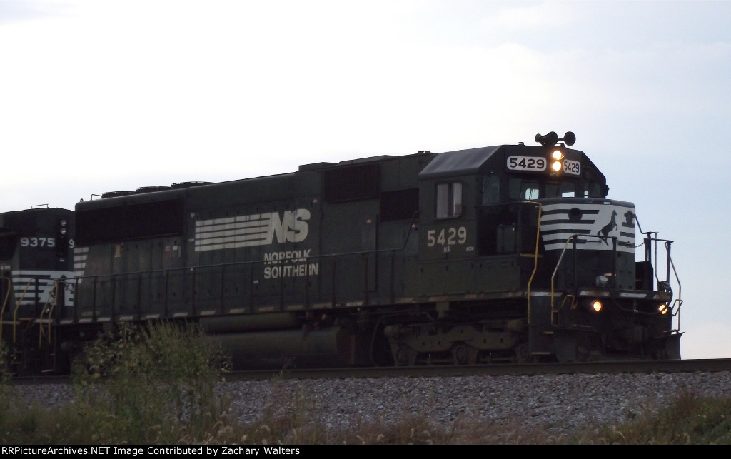 NS 5429